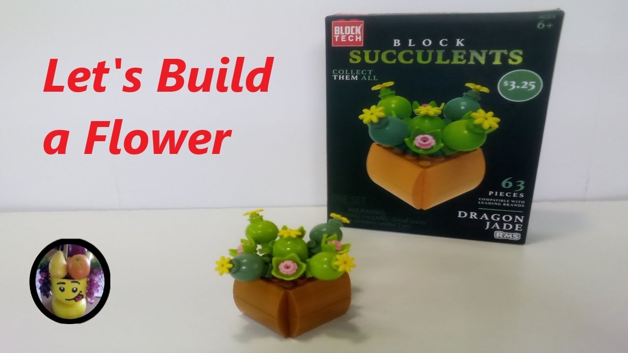 Let's build a Block tech Block Succulents Dragon Jade - YouTube