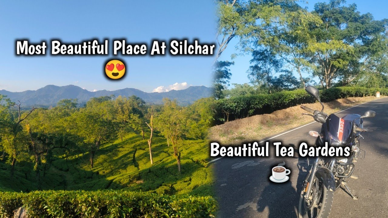 Beautiful Tea Gardens ☕ || Most Beautiful Place At Silchar 😍 || Silchar ...