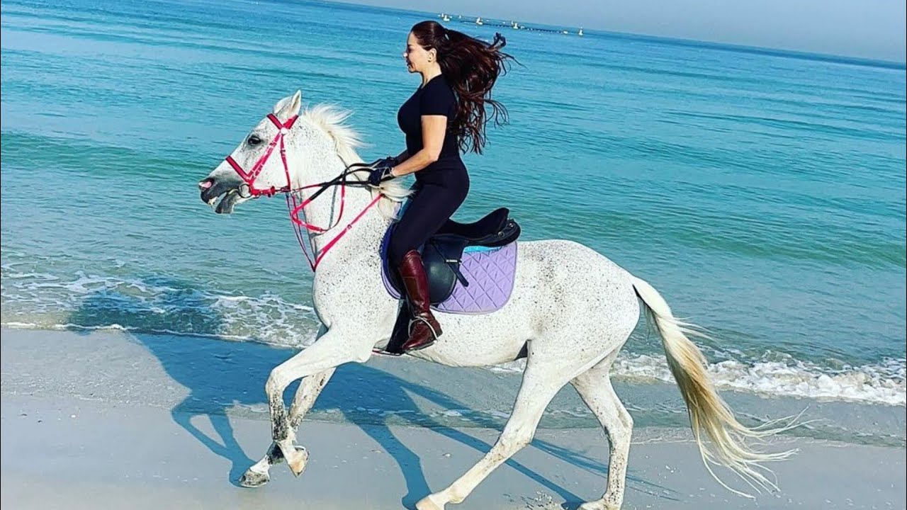 Horse riding videos | Super lady rider | Horse power - YouTube