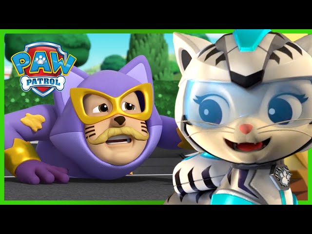 Pups and Cats Save a new Super Hero: HumCatDingerMan! - PAW Patrol ...