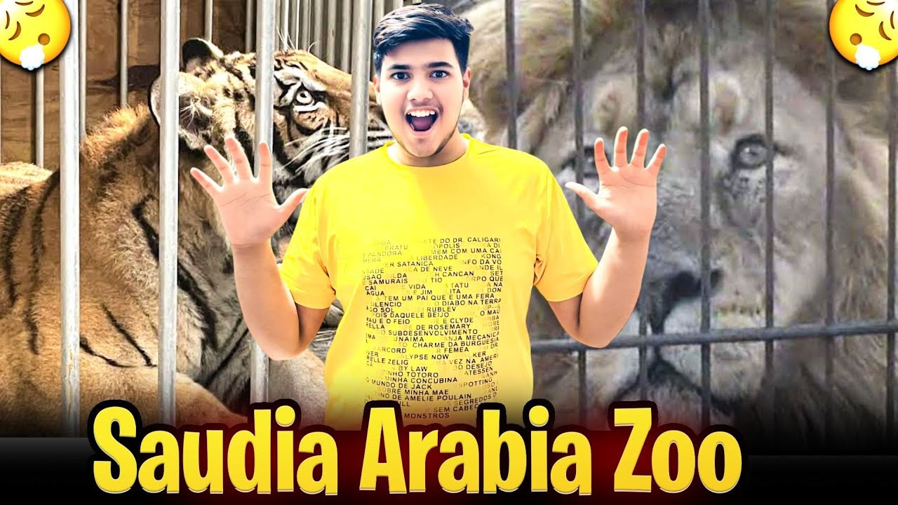 Al Taraf Zoo in Saudi Arabia FIRST TIME Tiger or Lion Deck Leya Mana😱 ...