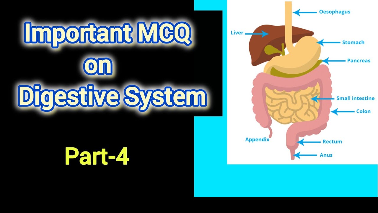 Multiple Choice Questions on Digestion and Nutrition - YouTube