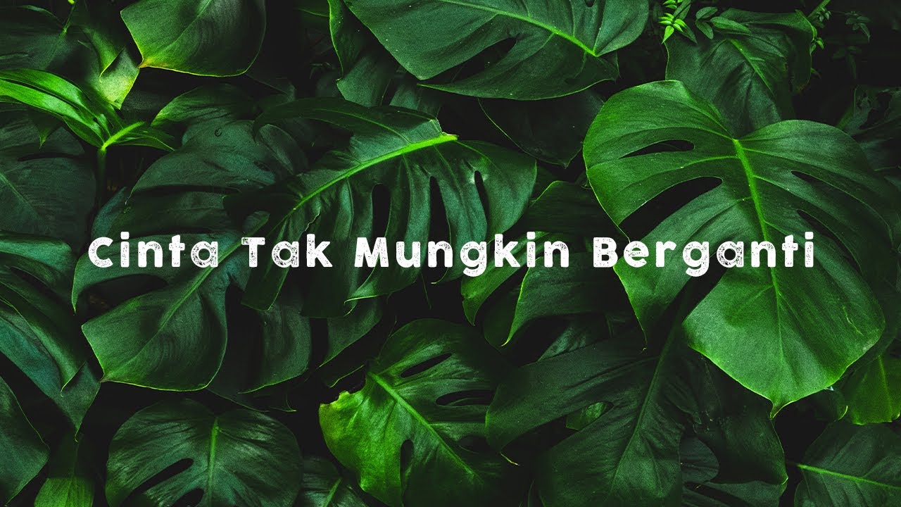 CINTA TAK MUNGKIN BERHENTI | Tangga (Weswey Cover Lirik) - YouTube