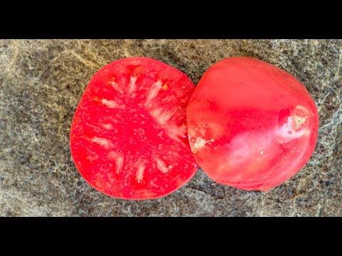 Томат Немецкая Красная Клубника для теплиц и в открытом грунте хороша ...
