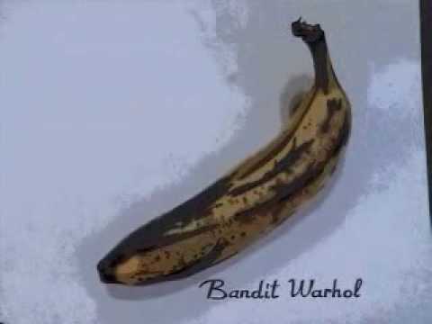 Bandit Warhol