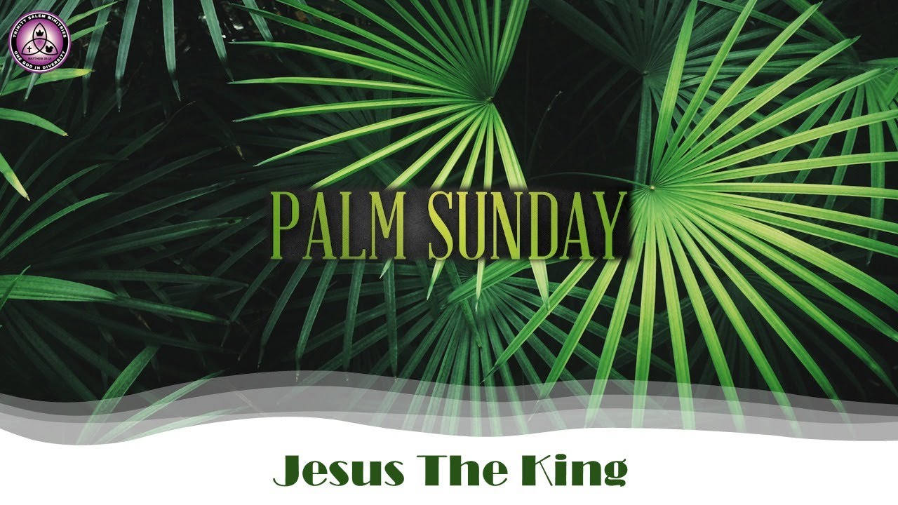 Palm Sunday (Jesus The King Is Coming) - YouTube