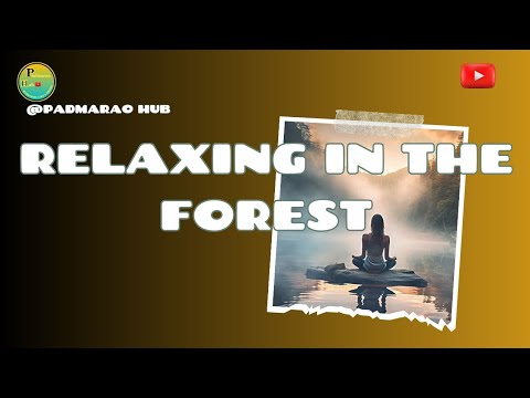 Relaxing in the forest // #natural #hub #youtube #Relaxing #trending # ...