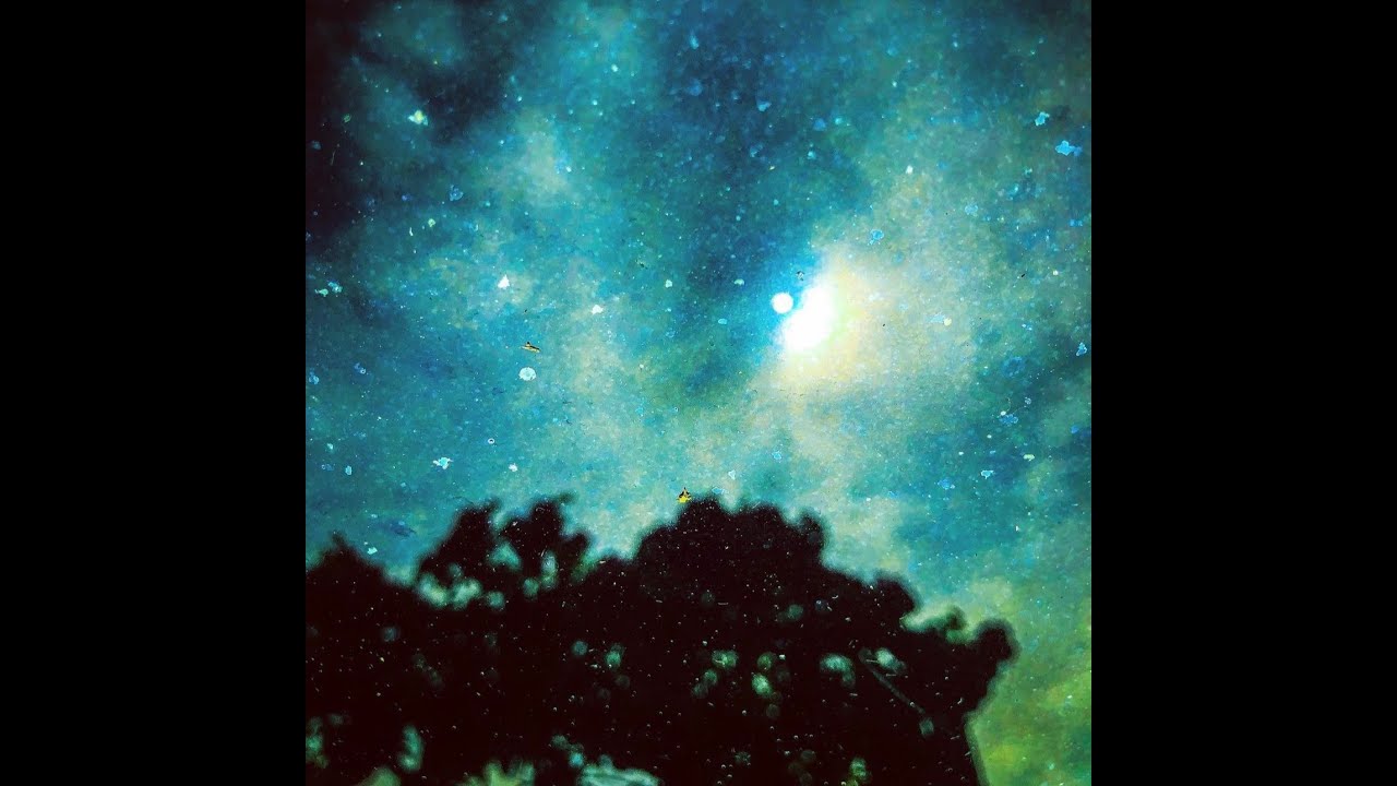 Luc Lion - The Moon feat. Cold West (Official Visualizer) - YouTube