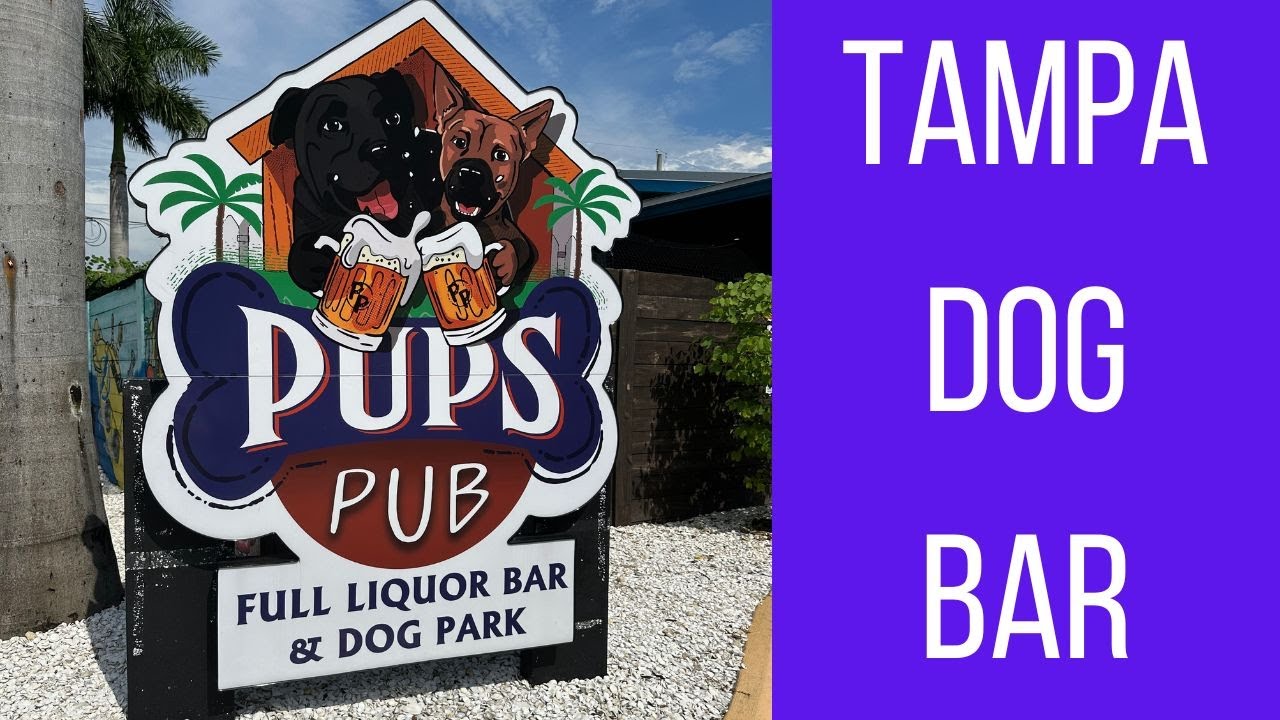 Pups Pub | Pet Friendly Tampa - YouTube