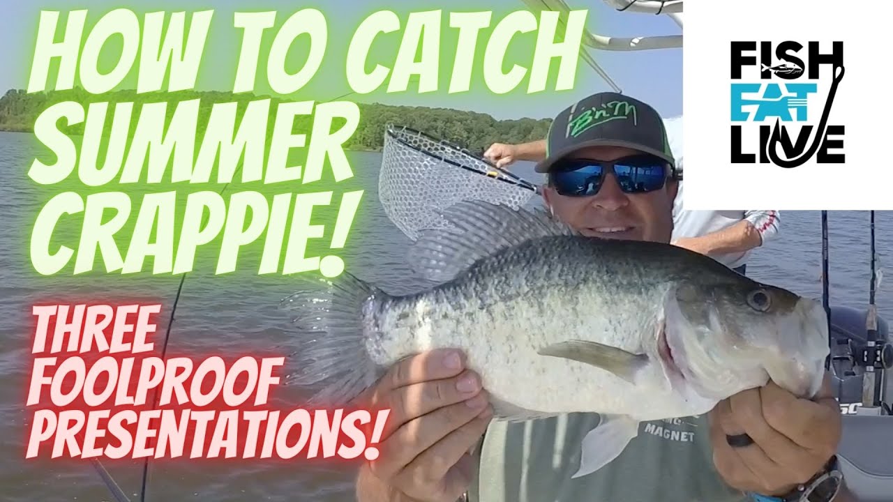 HOW TO CATCH SUMMER CRAPPIE EDITION FISH EAT LIVE - YouTube
