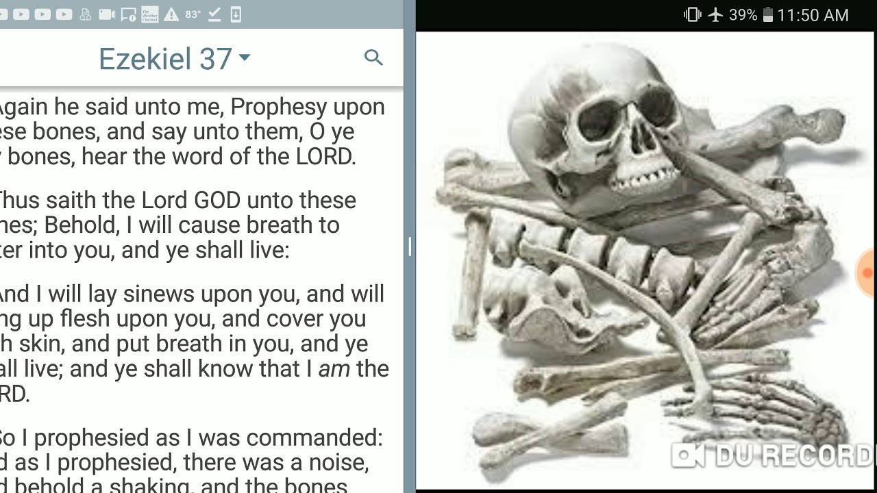 Truth and wisdom is life - YouTube