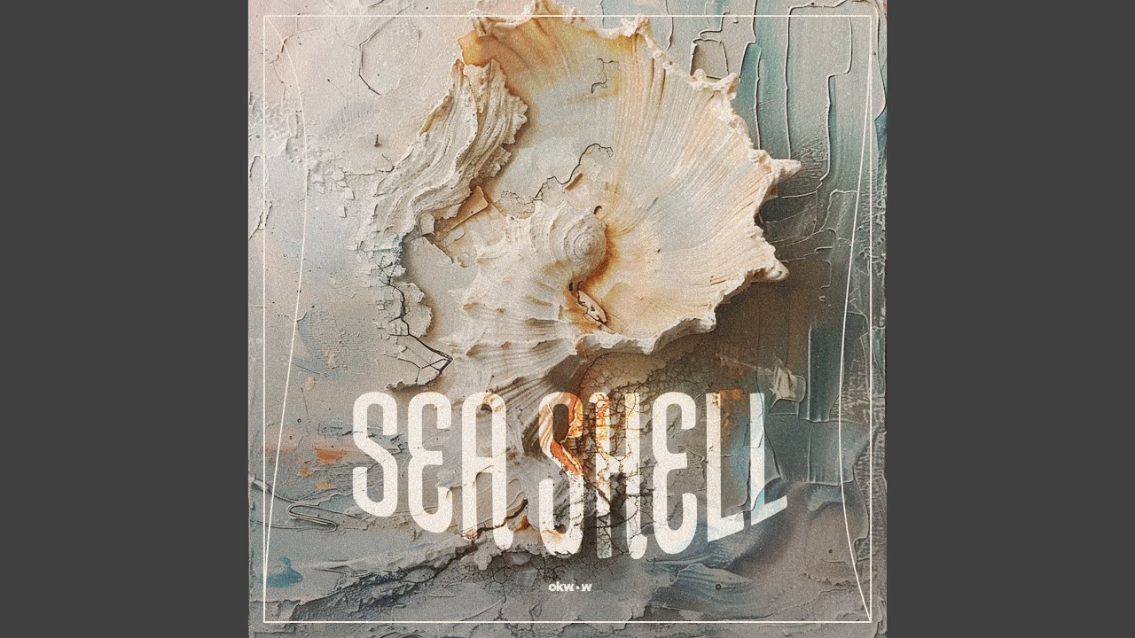 Sea Shell - YouTube