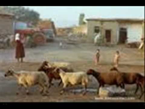 EMMİOĞLU_ŞEMSİ BELLİ.mp4