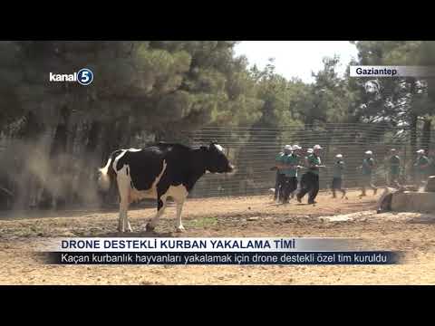 Gaziantep'te Drone Destekli Kurban Yakalama Timi