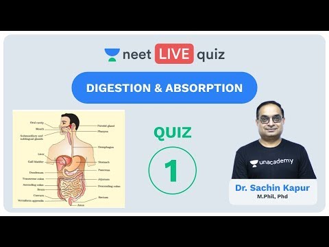 Digestion & Absorption | Quiz 1 | Unacademy NEET | LIVE QUIZ | NEET ...