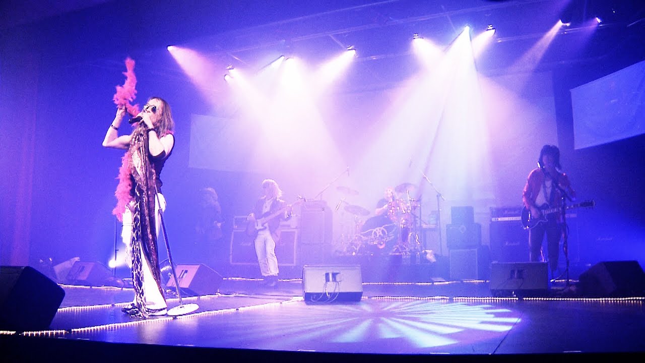 Pink - Aerosmith Rocks Tribute Band - YouTube