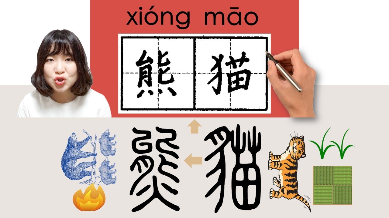 250-300_#HSK3#_熊猫/xiongmao/(panda) How to Pronounce/Say/Write Chinese ...