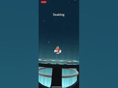 Goldeen evolve into Seaking | Pokemon go - YouTube