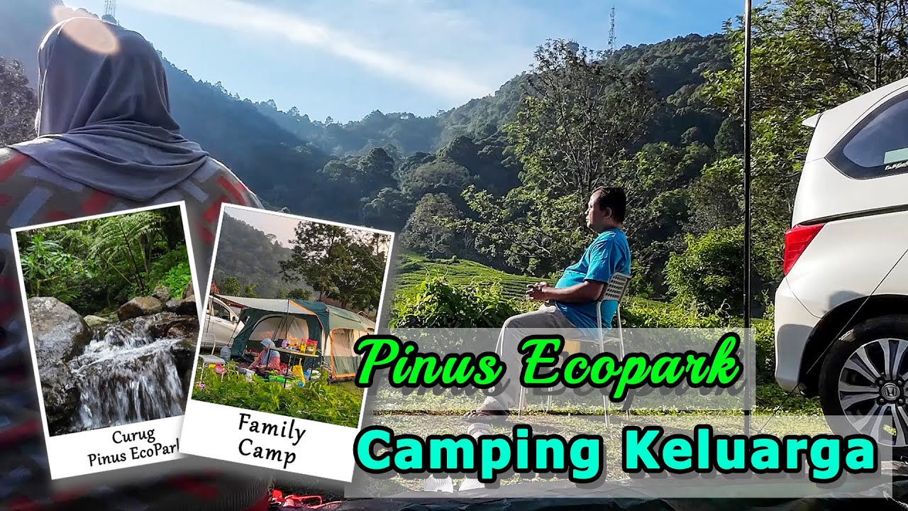 Camping Ground Puncak | Pinus Eco Park Puncak Bogor Dengan Pesona ...