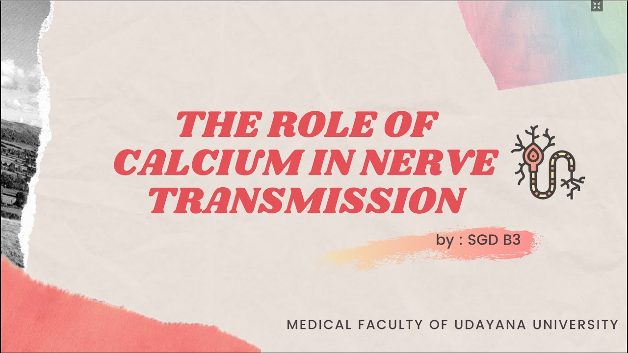 “The Role of Calcium in Nerve Transmission” by SGD B3 - YouTube
