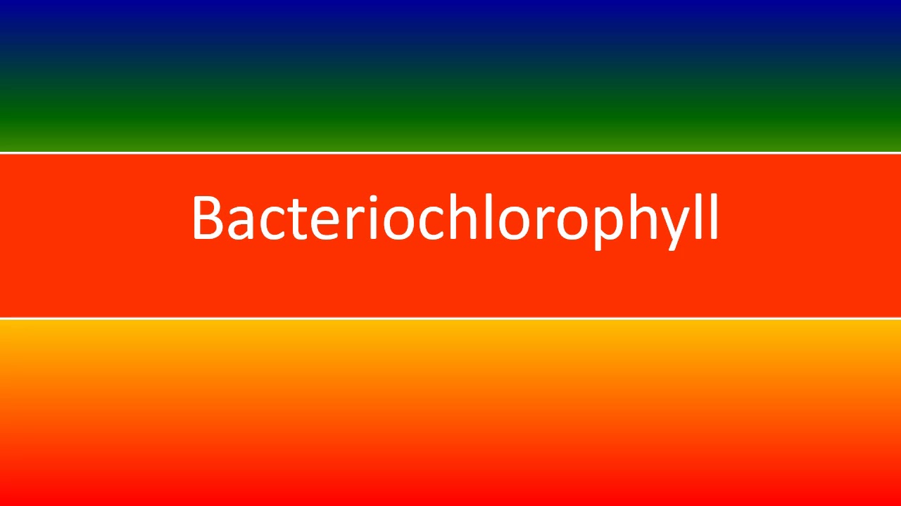 BACTERIOCHLOROPHYLL - YouTube