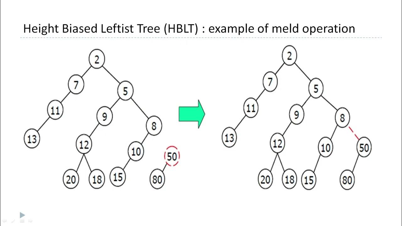 Leftist Trees - YouTube