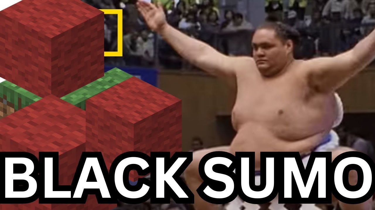PEAK BLOCK SUMO GAMEPLAY - YouTube