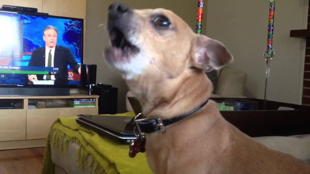 What's Up Chuck? - YouTube