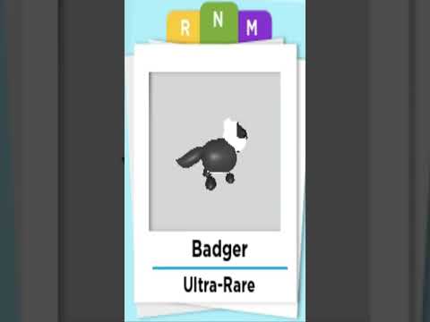 Badger Neon & Mega Neon in Adopt me #shorts - YouTube