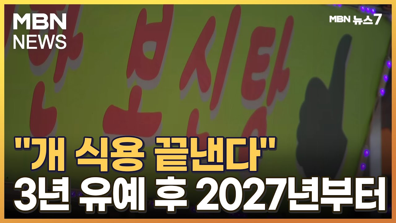 "개 식용 끝낸다" 3년 유예 거쳐 2027년부터 단속 [MBN 뉴스7] - YouTube