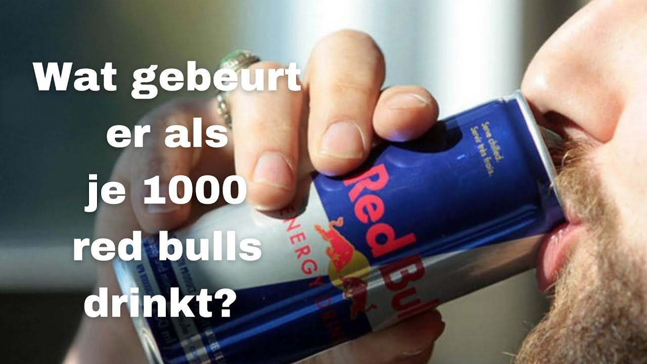 Wat als je 1000 red bulls zou drinken in een maand? - YouTube