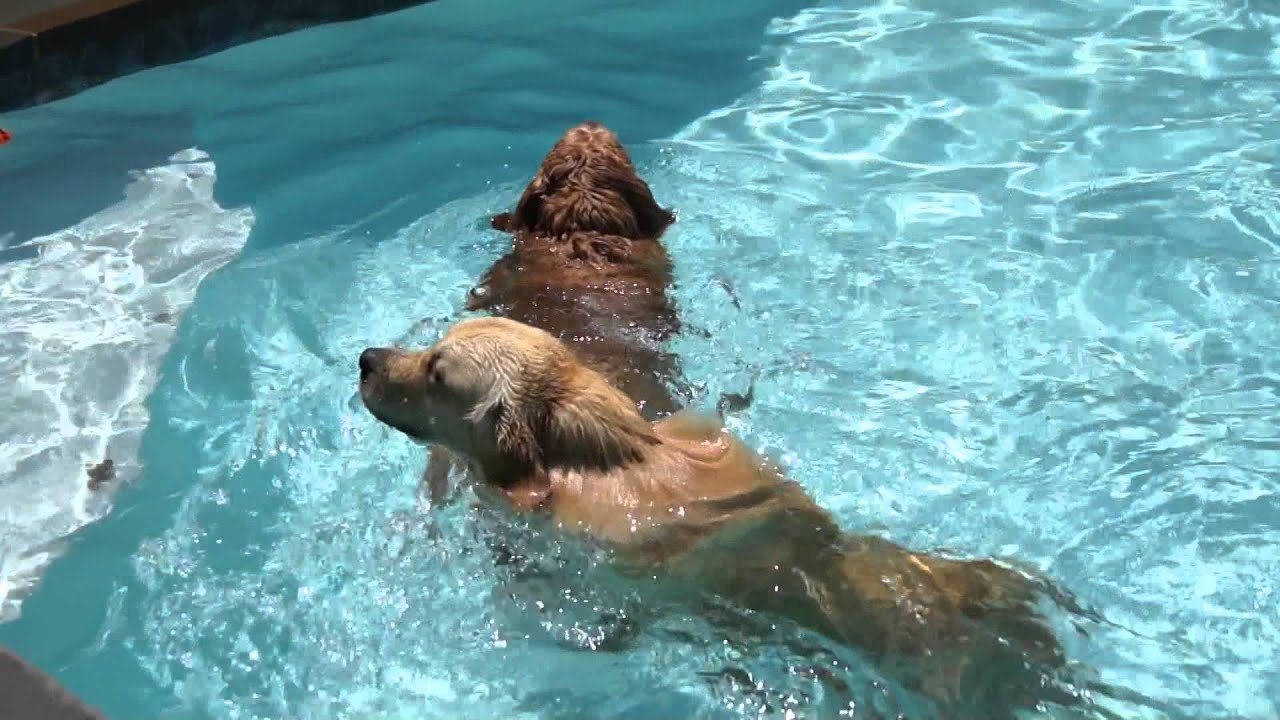 Bailey Swimming - YouTube