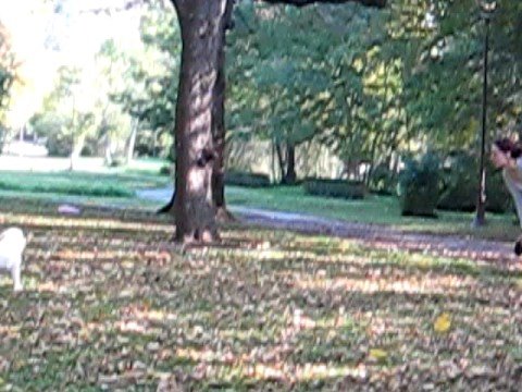 carla - and brass band in the park