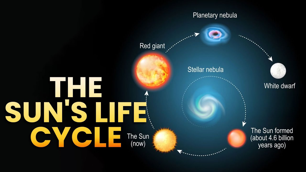 The Sun's COMPLETE Life Cycle: From Birth to Death Explained | Space ...