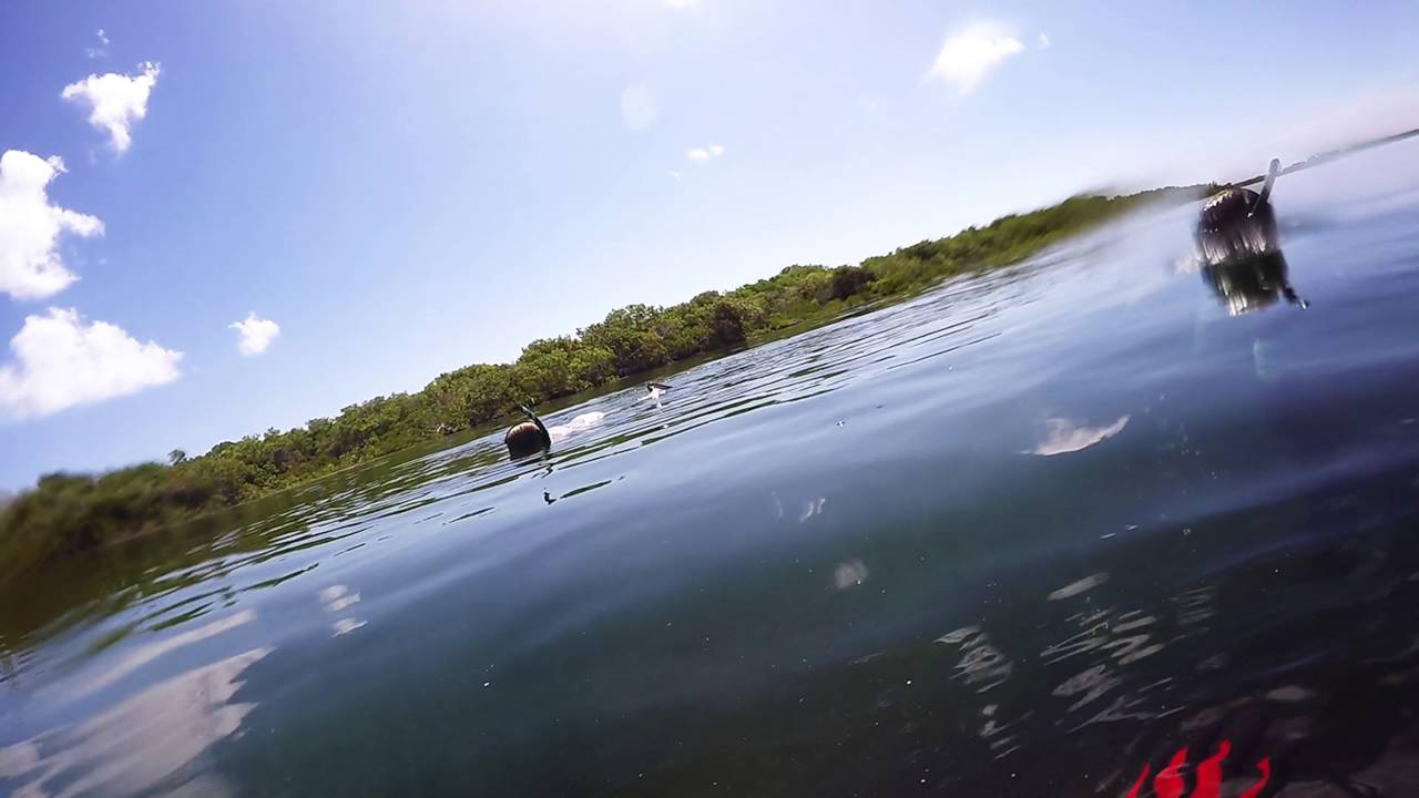 Little Harbour Abaco Blue Holes Spearfishing. - YouTube