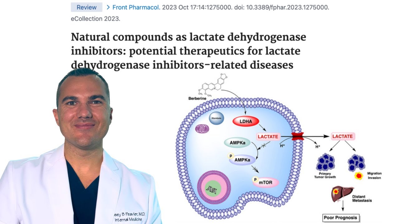 NATURAL Inhibitors of Lactate Dehydrogenase (LDHA) - YouTube