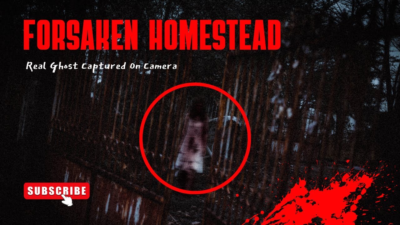 DEMONIC SHADOW FIGURE | The New Reality Paranormal | 4KHD | - YouTube