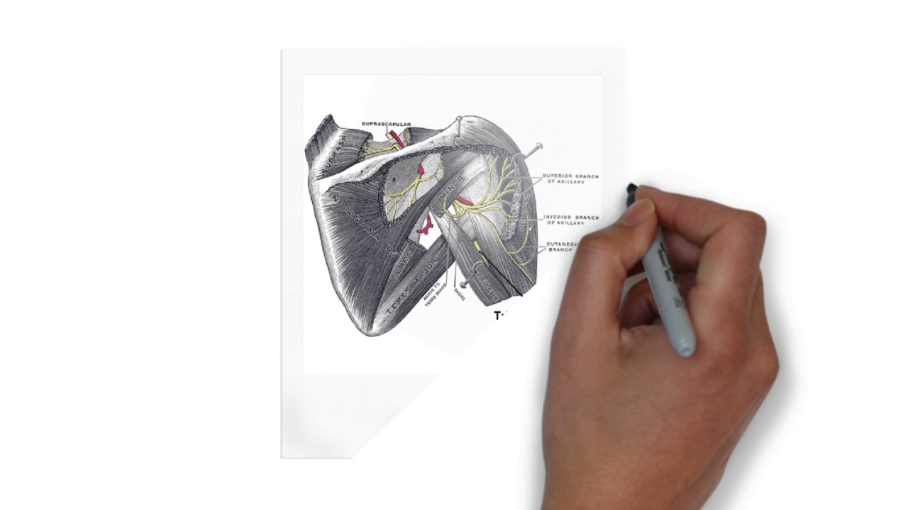 Triangular interval - YouTube