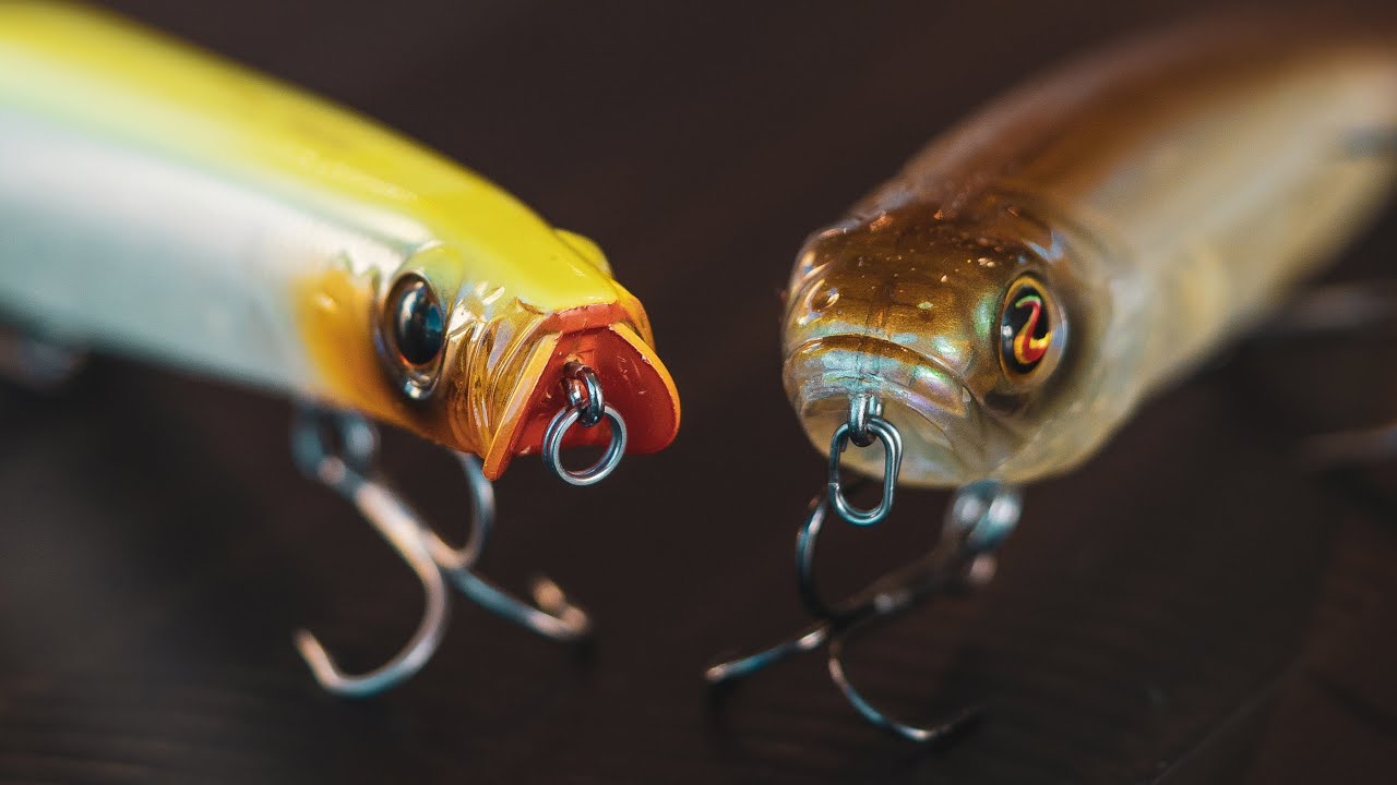 How To Catch Suspended Bass! (Fishing During The Fall Draw Down) - YouTube