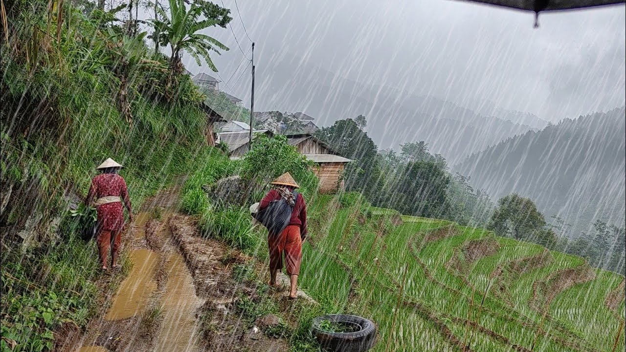 Walking in heavy rain and strong winds through hilly village, super ...