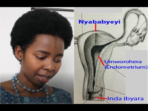 Ibice Bigize Imyanya Myibarukiro y' Abantu ndetse n' Akamaro Kayo! Amagi y' Umugore Yose Arayavukana