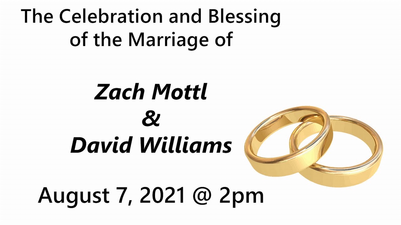 Zach Mottl & David Williams wedding - YouTube