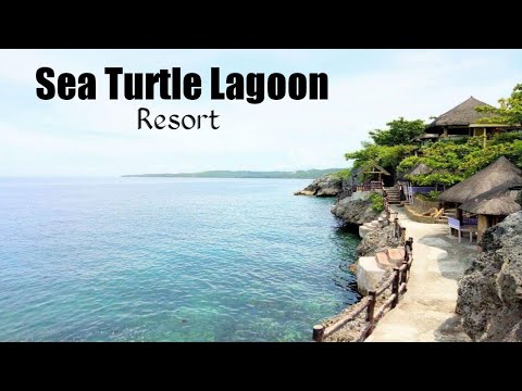Sea Turtle Beach Lagoon, Tabogon, Cebu - YouTube