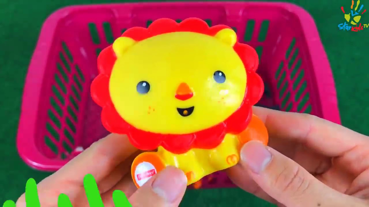 Box of Wild Zoo Animals Learn Sea Animals Learn Animal Names ...