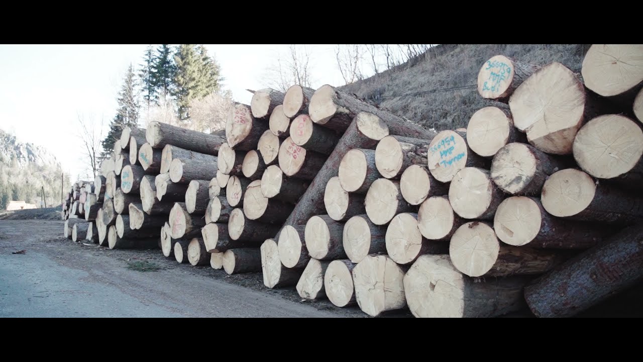 SchafferHolz Austrian Timber Export - YouTube