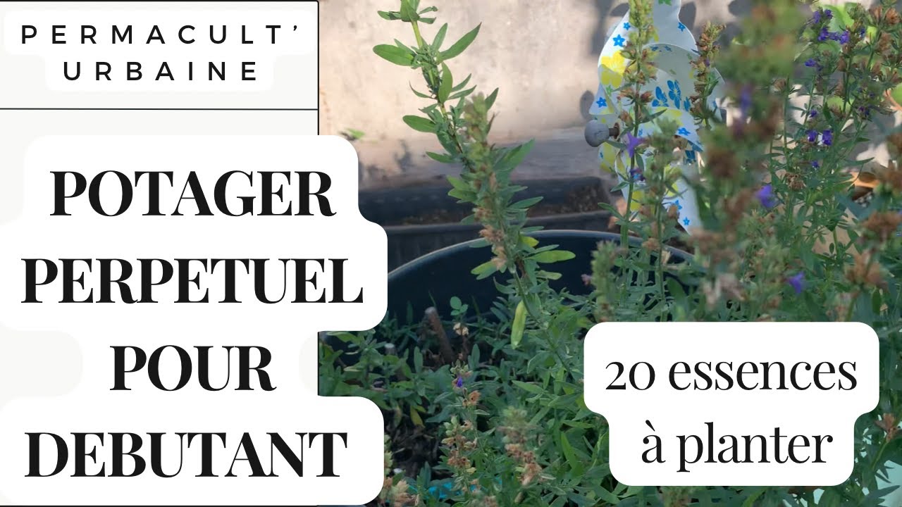Un potager perpétuel en permaculture urbaine : 20 légumes anciens ...