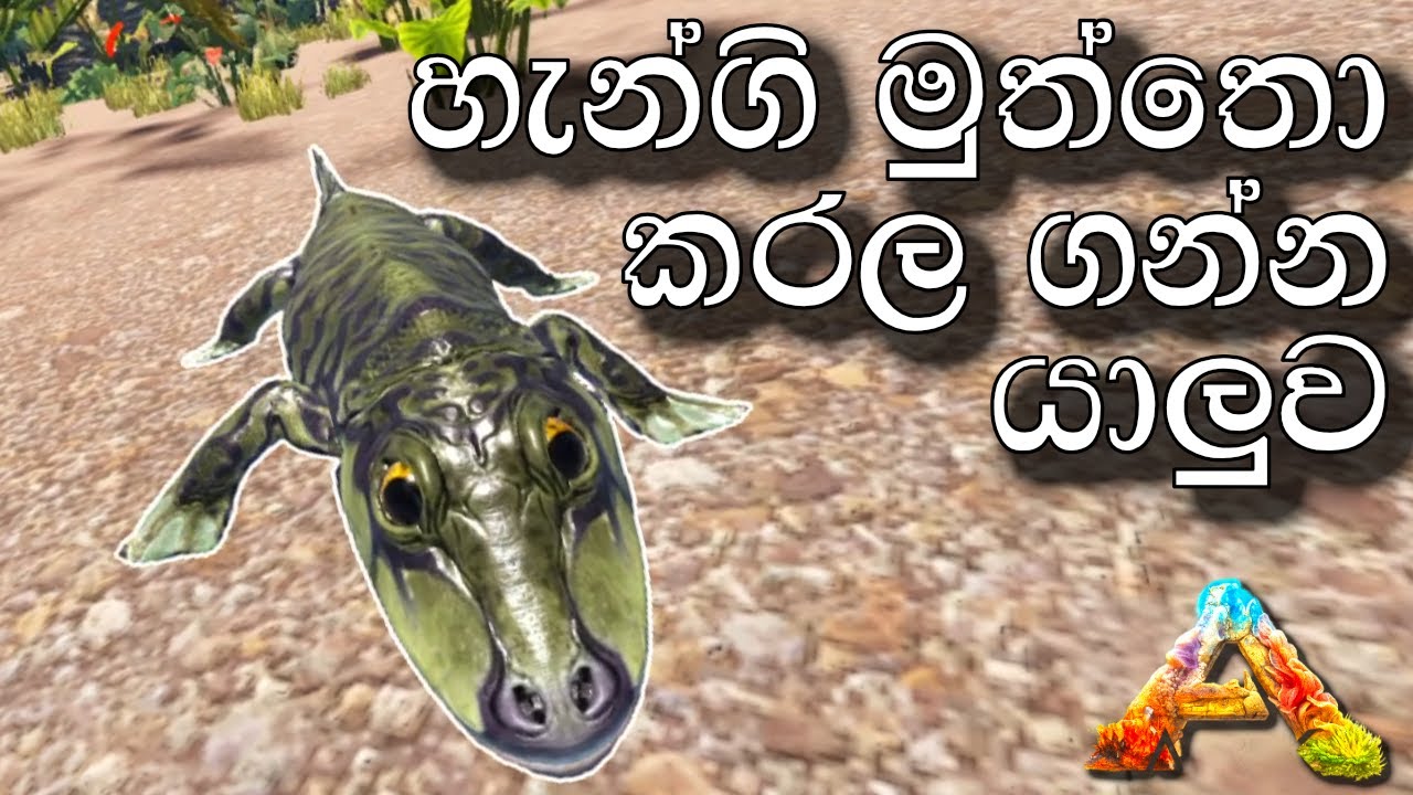 හැන්ගි මුත්තො කරල ගන්න යාලුව | ARK: Survival Evolved - AQUATICA ...