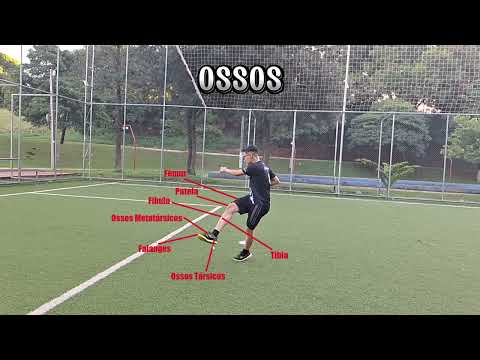 Chute do futebol: Principais Ossos e Músculos - YouTube