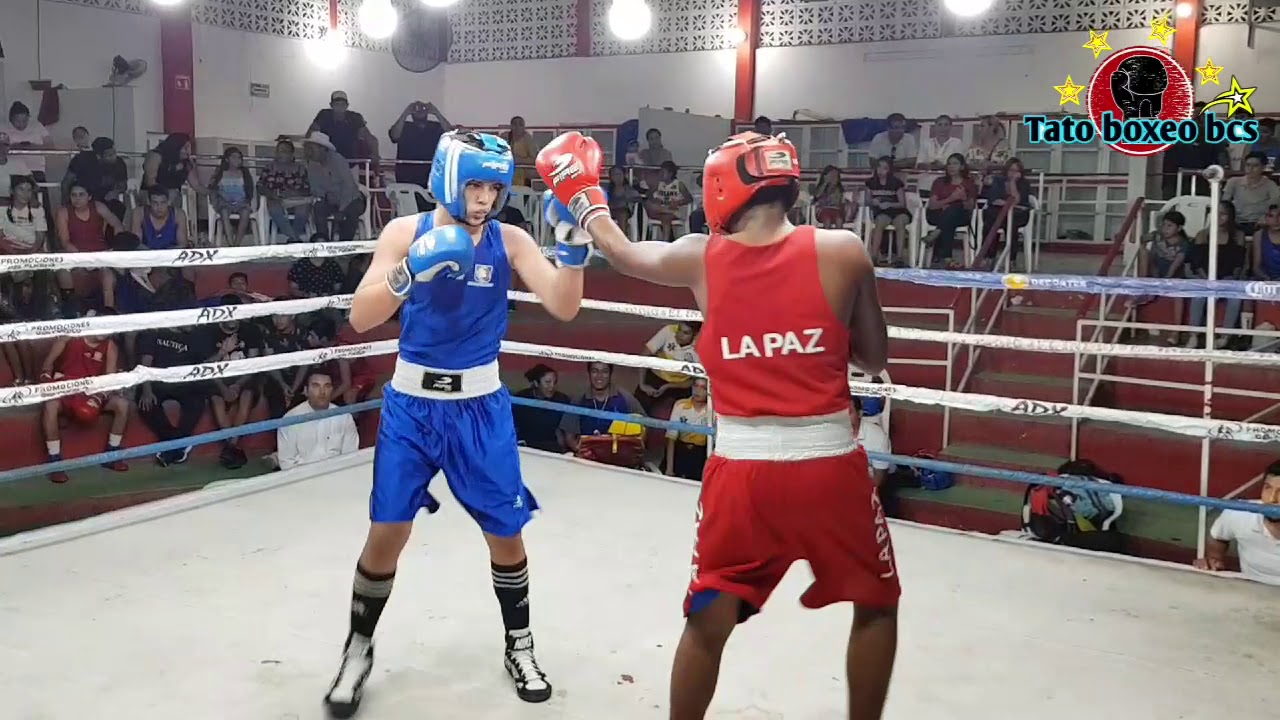 Gonzalo Salinas Vs Jaime EL monstruo Ozuna buena pelea Tato boxeo bcs ...