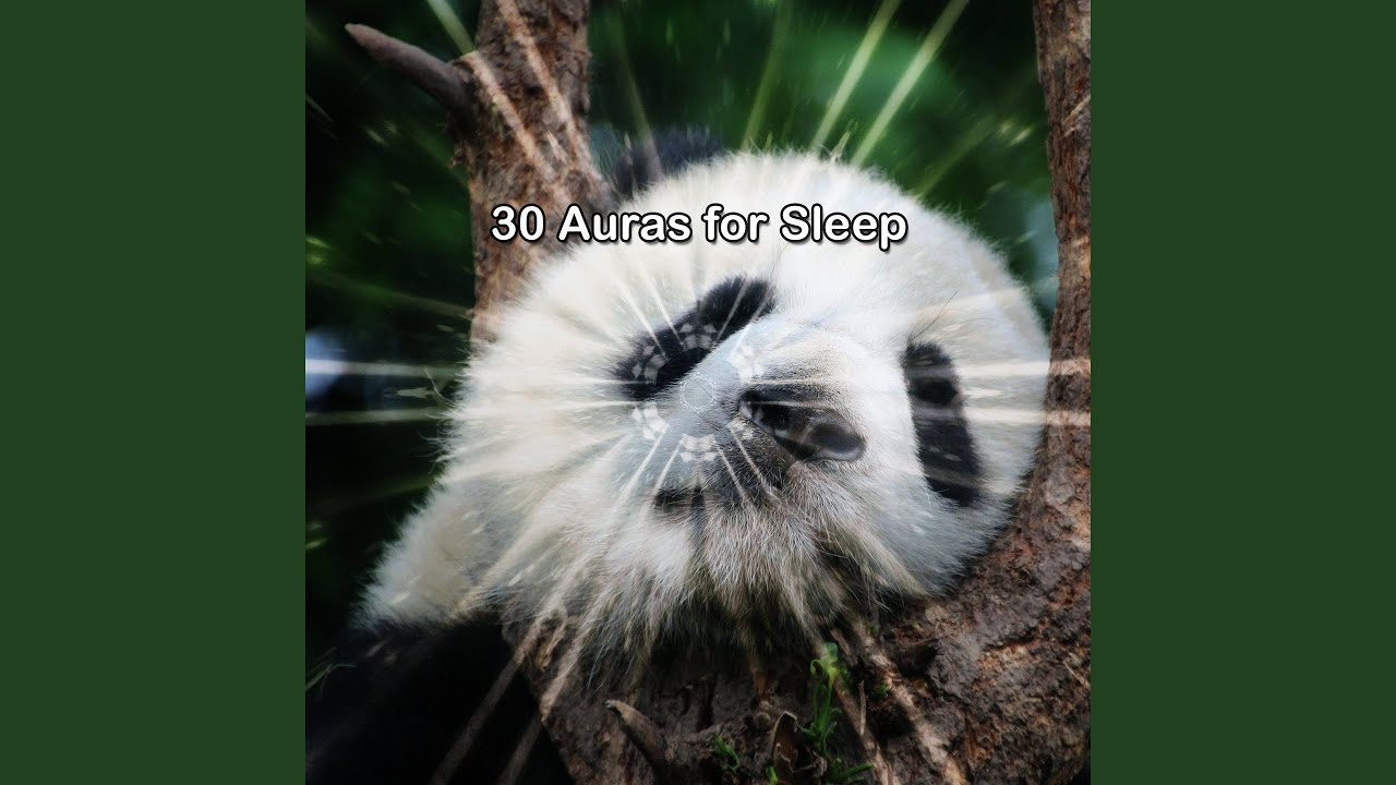 Soft Lullaby - YouTube